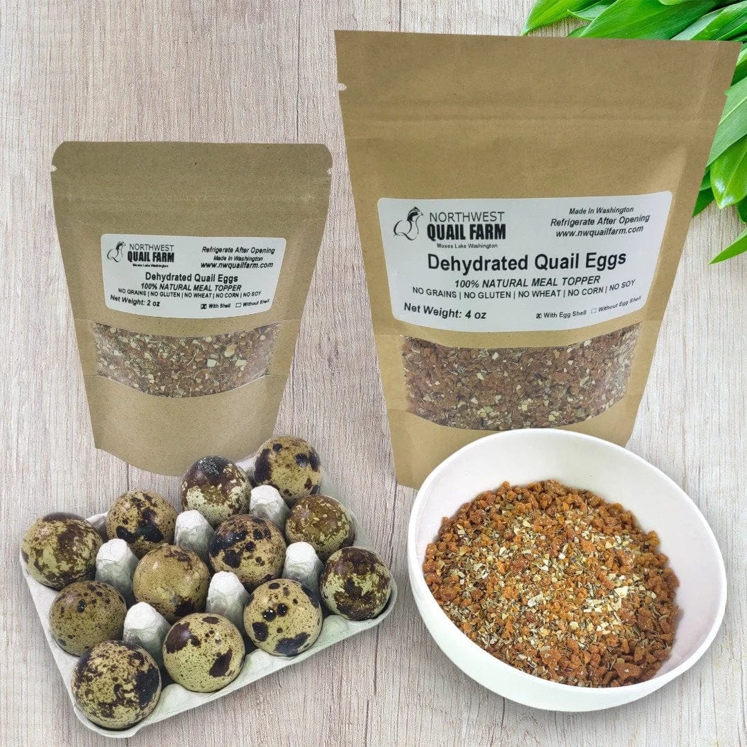 Dehydrated Quail Eggs Food Topper | Whole Quail Egg | Dog Cat Treat ...
