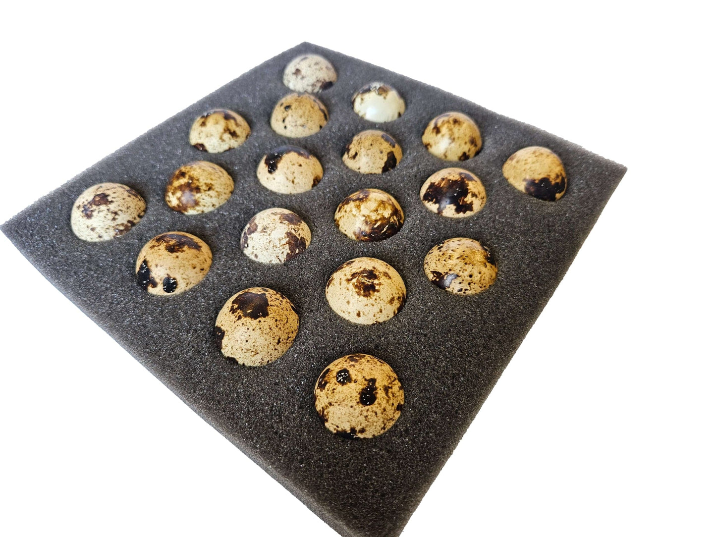 Jumbo Brown Coturnix Quail Hatching Eggs x30 – NWQuailFarm