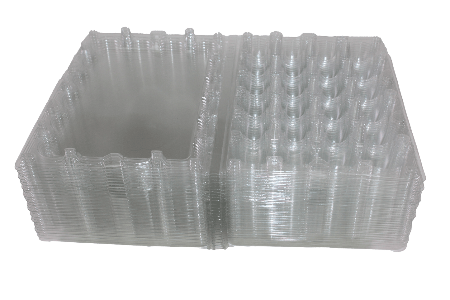 24-cell Jumbo Quail Egg Cartons (4x6) - Wholesale Pricing – NWQuailFarm