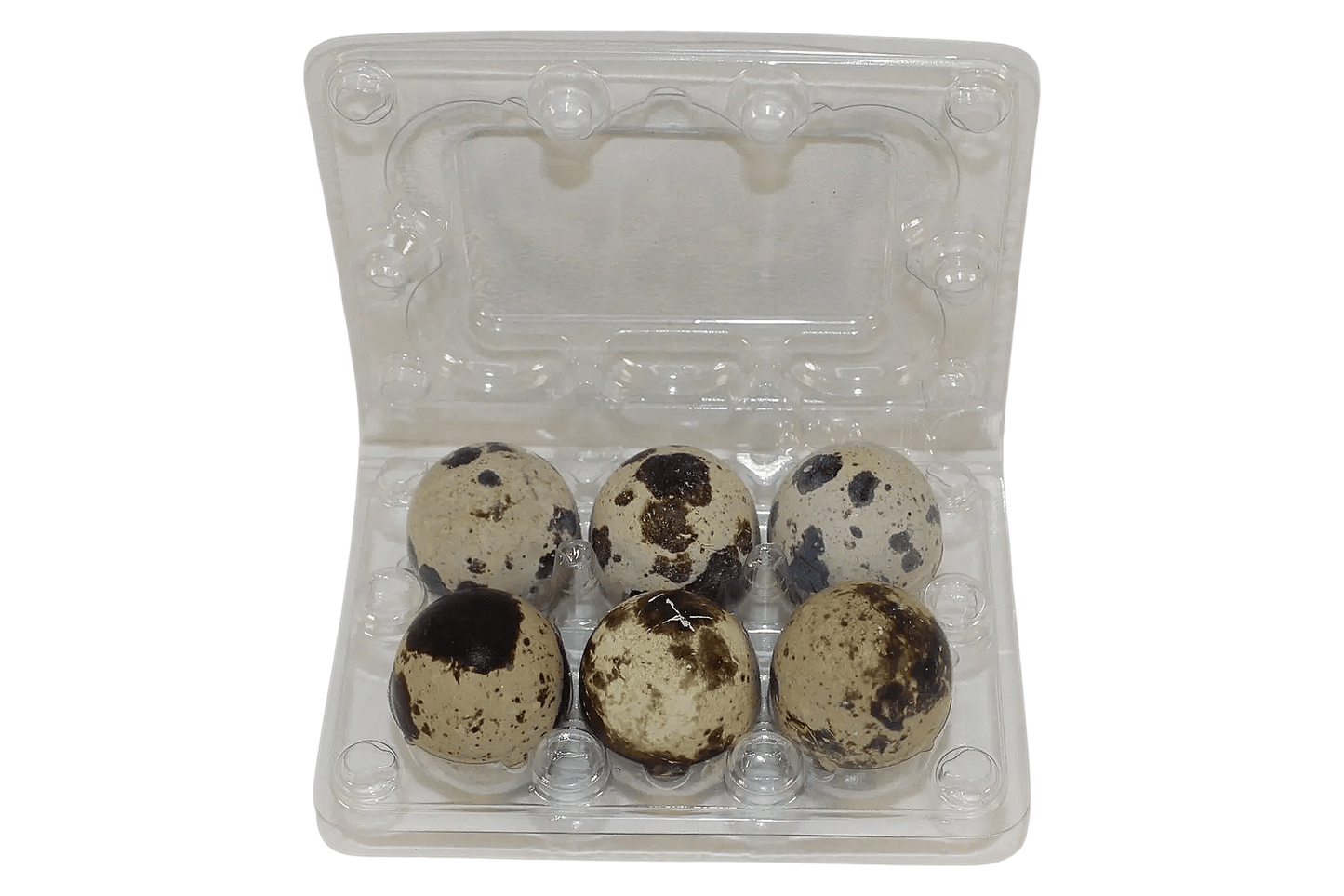 6-cell Jumbo Quail Egg Cartons (2x3) - Wholesale Pricing – NWQuailFarm